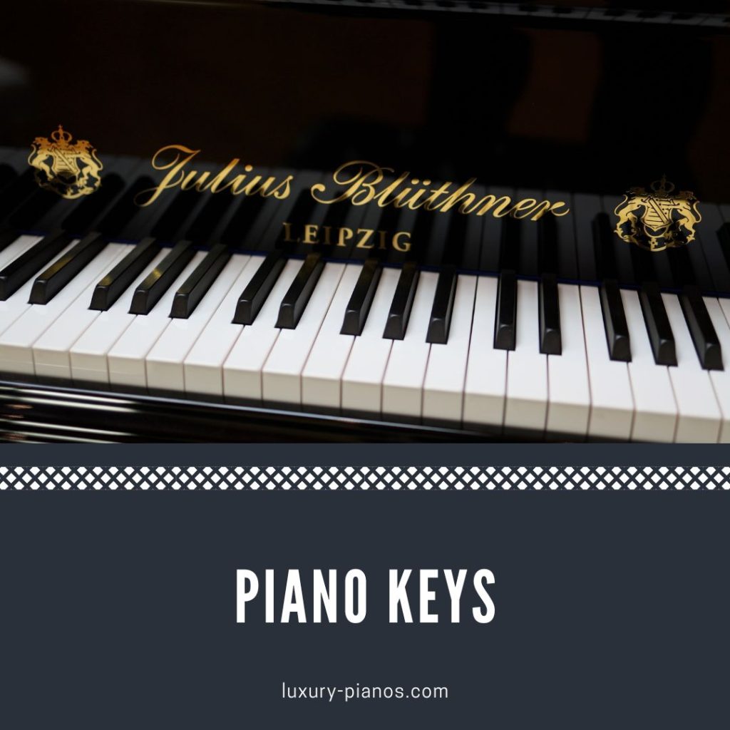 Piano Keys for Beginners | Luxury Pianos Inc.