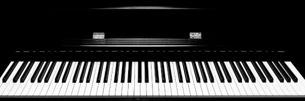 Piano Keys for Beginners | Luxury Pianos Inc.